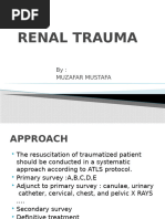 AAST Kidney Injury Grading Scale | PDF | Kidney | Injury