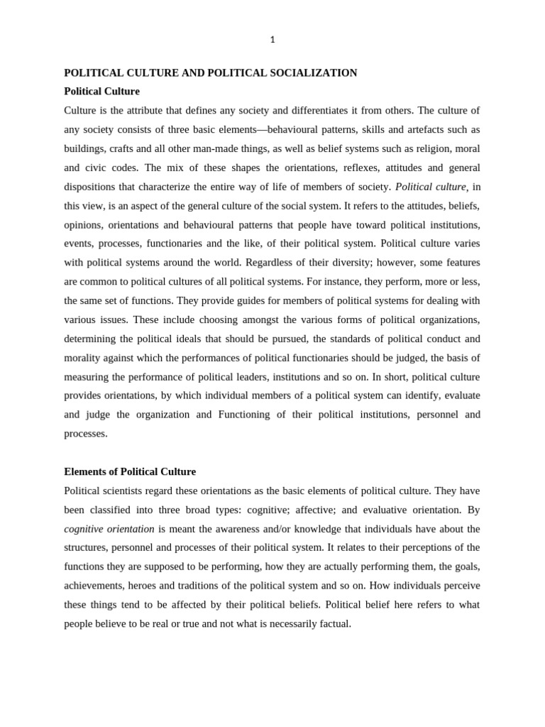 Political Culture and Socialization Explained | PDF | Family ...