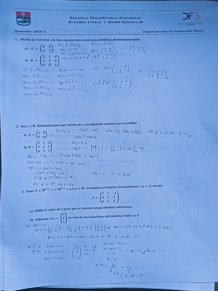 Deber 06 Algebra Lineal | PDF | Ecuaciones | Determinante