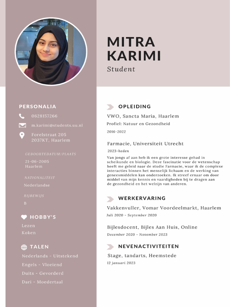 Mitra Karimi CV | PDF