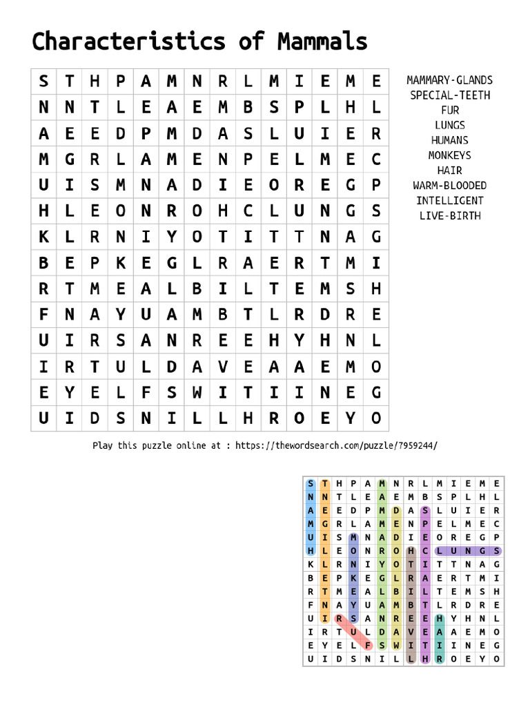 Characteristics of Mammals | PDF