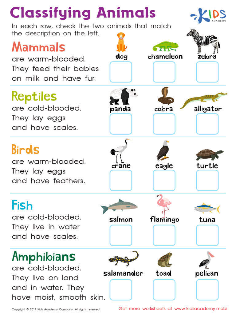 Classifying Animals Worksheet | PDF
