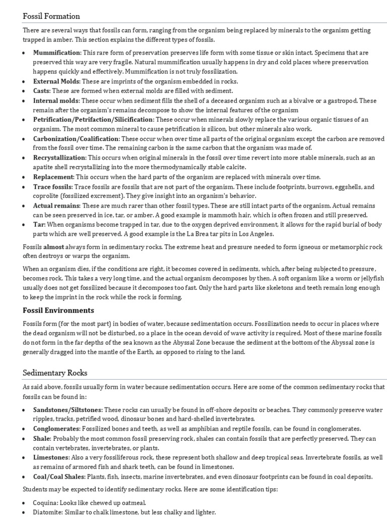 Fossils Cheat Sheet 2025 Scioly | PDF | Geology | Earth Sciences