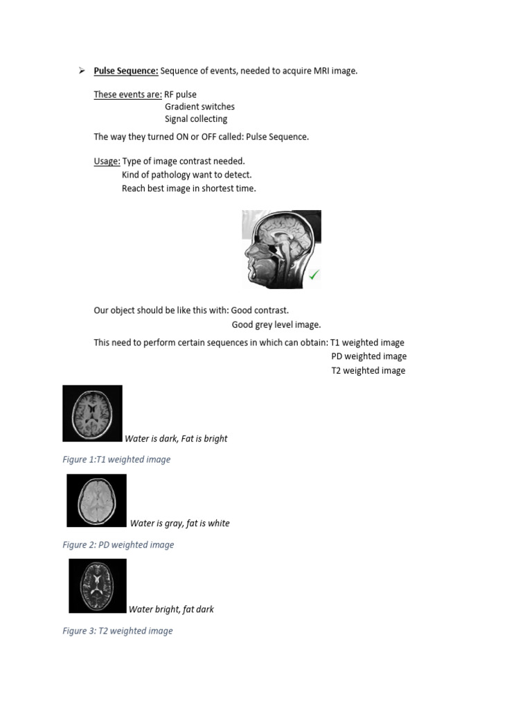 Pulse Sequence Part 1 Pdf Magnetic Resonance Imaging Medical Imaging