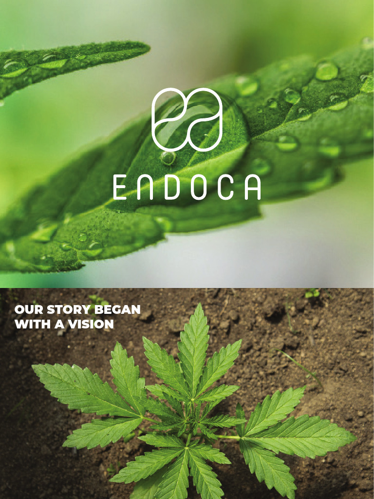 Endoca: Pioneering Quality CBD Products | PDF | Cannabis