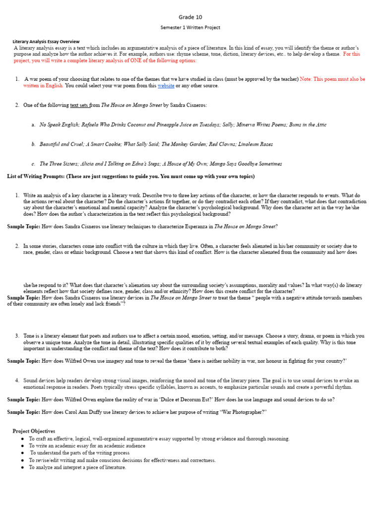 Grade 10 Literary Analysis Essay Guide | PDF | Essays