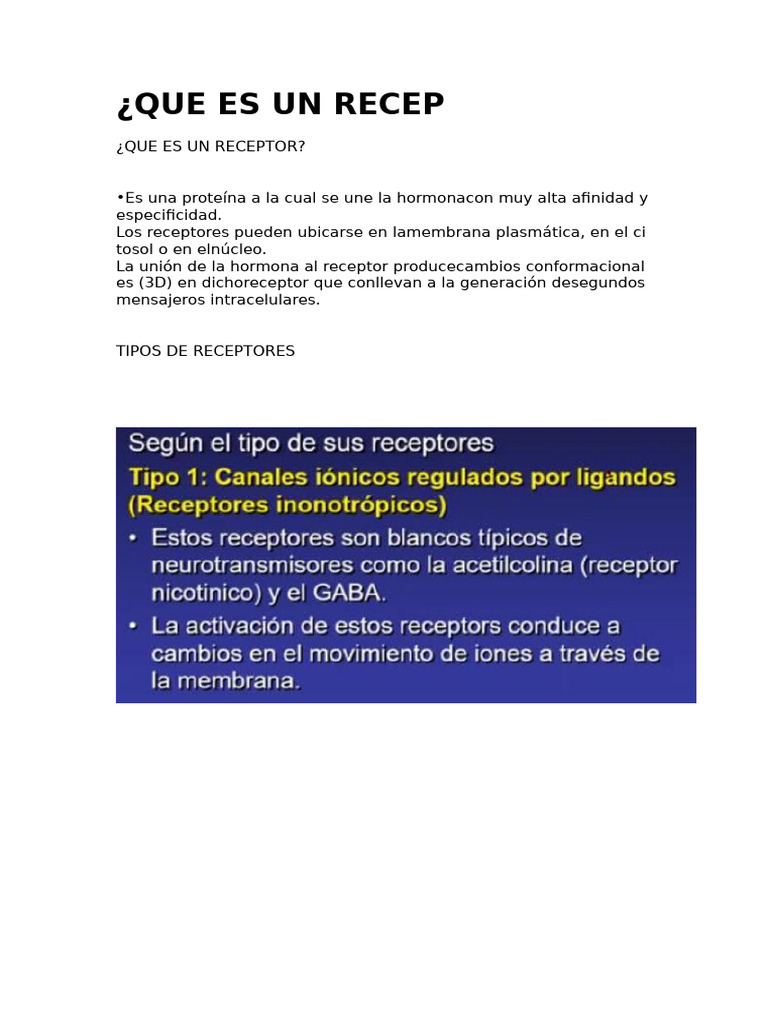 ¿Que Es Un Recep | PDF
