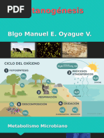 Metanogénesis: Proceso y Aplicaciones | PDF | Archaea | Biología