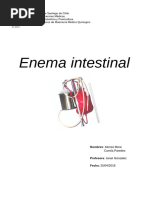 Ficha Tecnica Fleet Enema | PDF | Estreñimiento | Medicina CLINICA