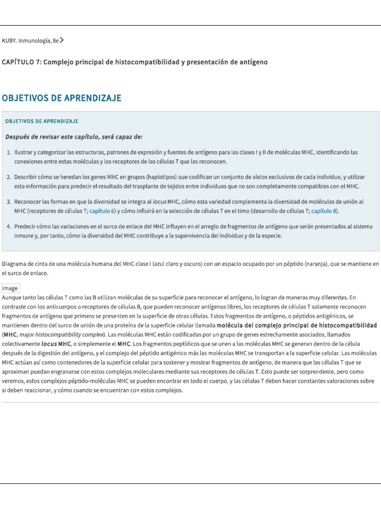 Capítulo MHCII Kuby | PDF