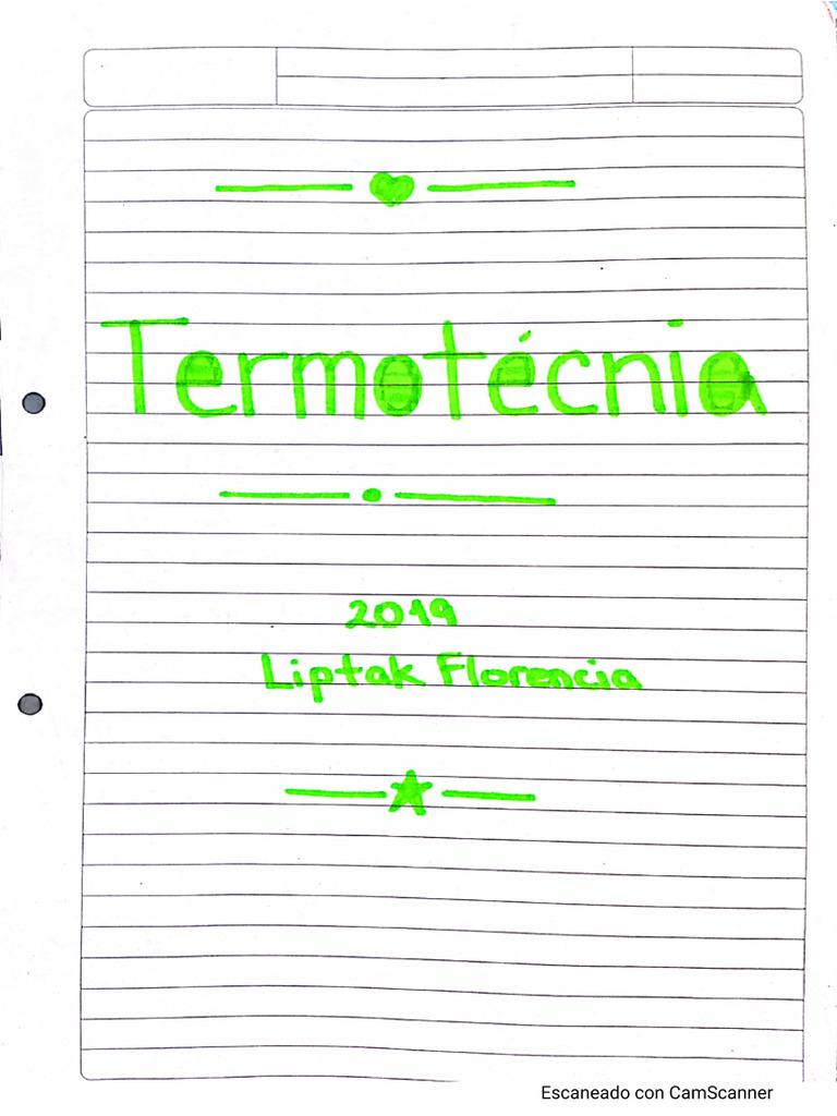 Resumen Termo - Flor | PDF