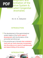 Embryology of The GIT | PDF | Gastrointestinal Tract | Liver