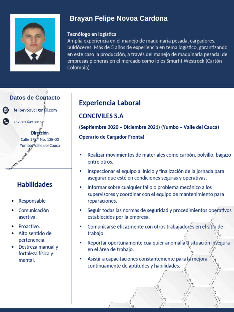 CV Felipe Novoa | PDF