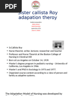 Roy's Adaptation Model | PDF | System | Self Concept