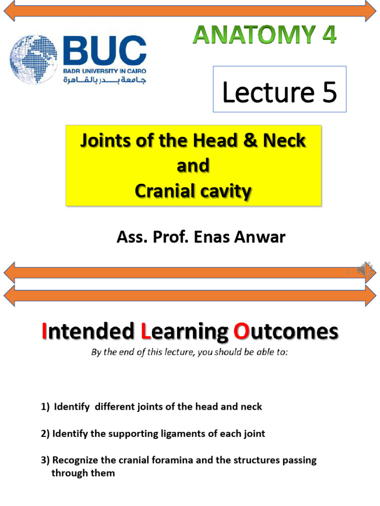5-Joints of Head and Neck | PDF | Human Anatomy | Musculoskeletal System