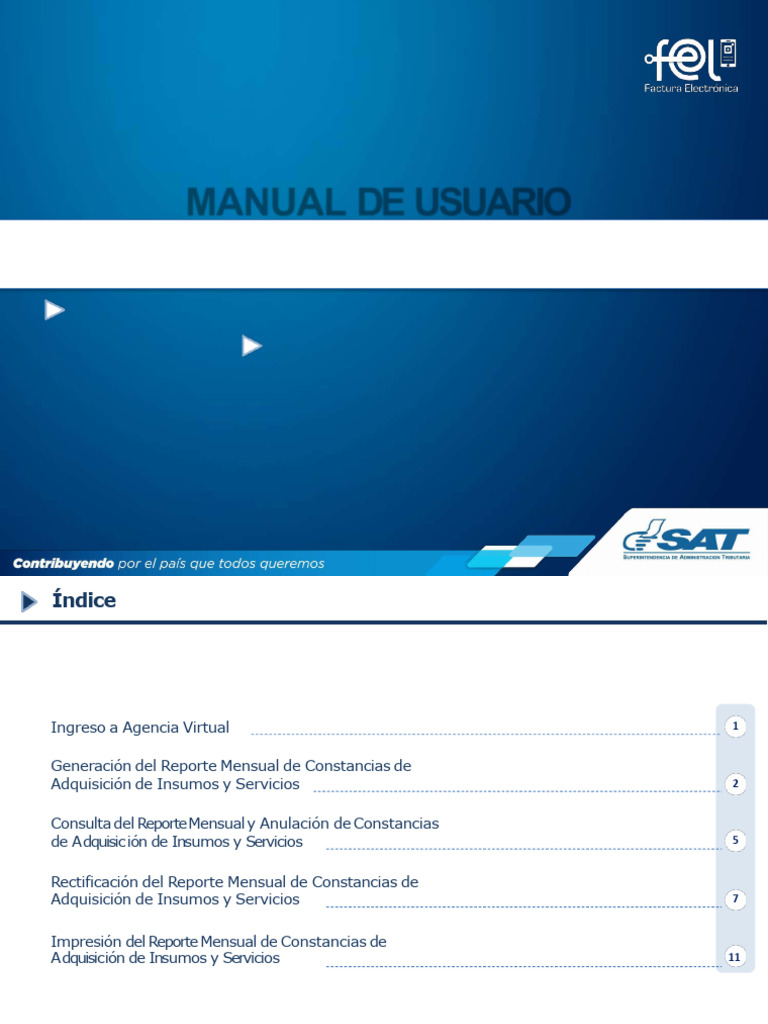 Manual Generacion de Reporte Mensual CAIS | PDF | Informática | Software