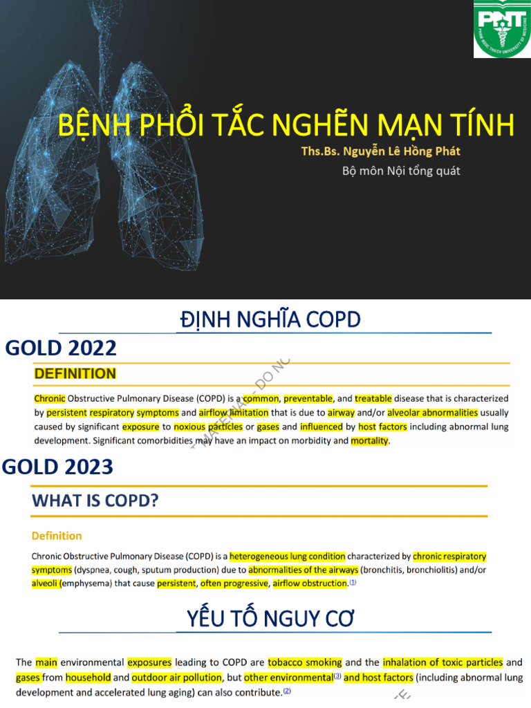 Copd Gold 2023 | PDF