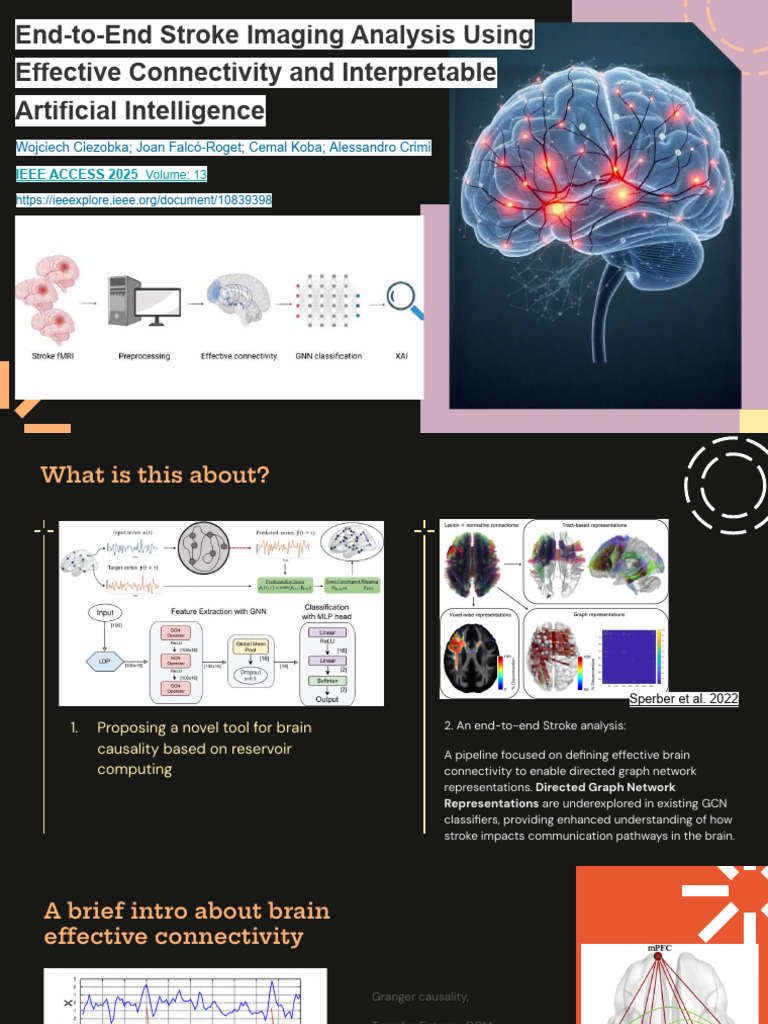 End-To-End Stroke Imaging Analysis Using Effective Connectivity and ...