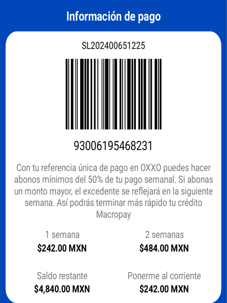 Referencia 20241228 - 205020 | PDF