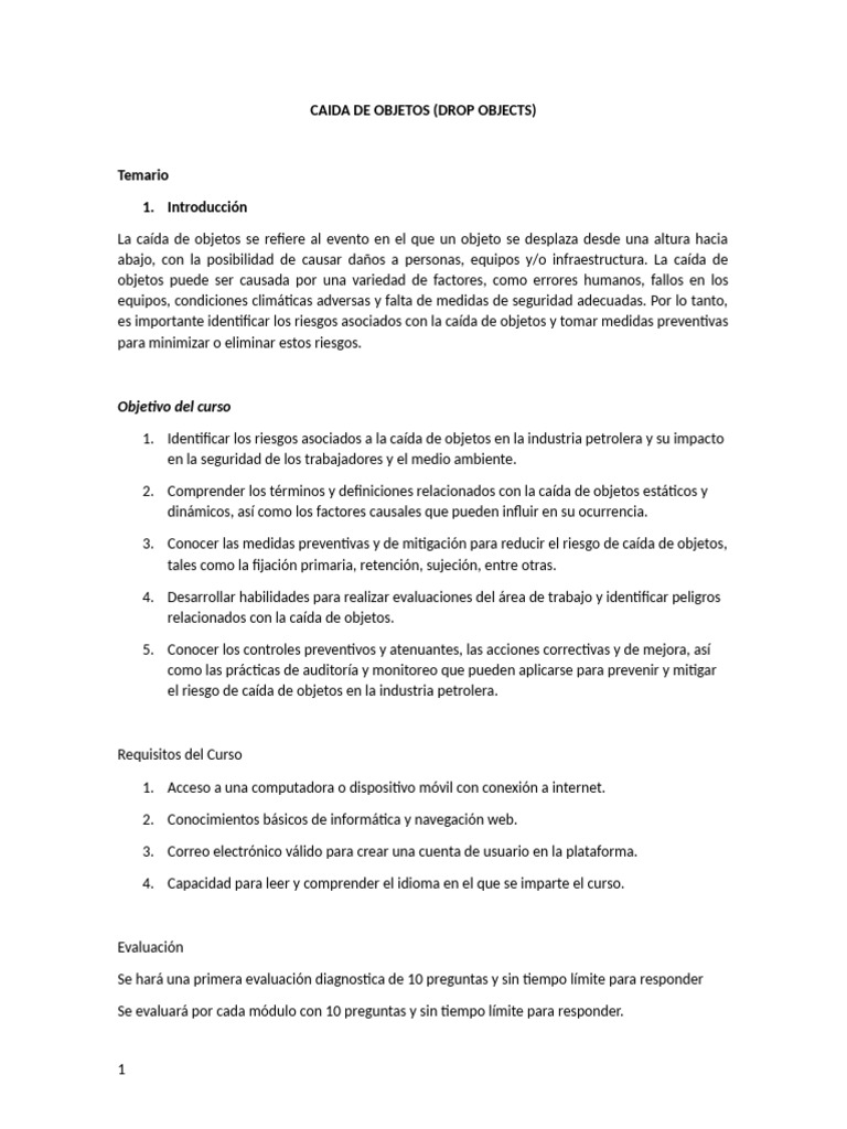 CAIDA DE OBJETOS | PDF | Riesgo | Auditoría