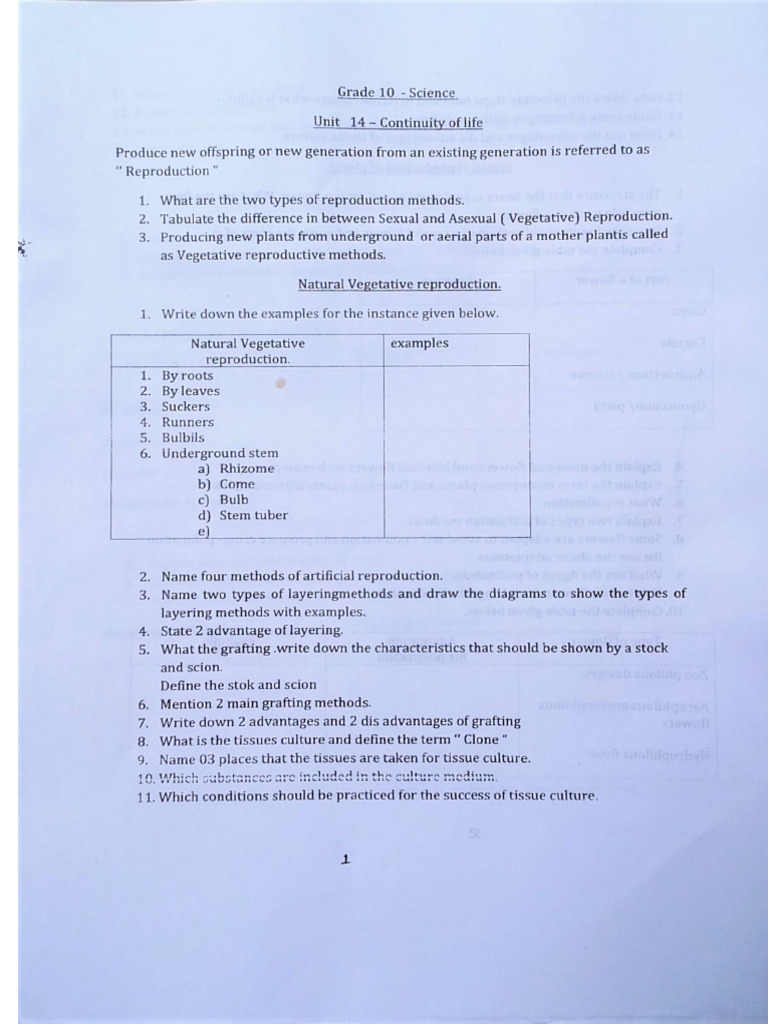 Assignment gr10 Science-Em | PDF