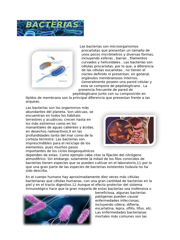 BACTERIAS | PDF | Las bacterias | Virus