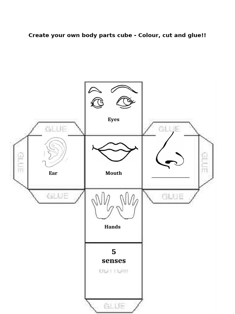 Body Parts Games Picture Description Exercises Pronunciation - 48654 | PDF