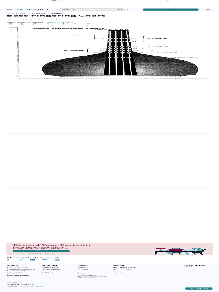 Electric Bass Fingering Chart | PDF