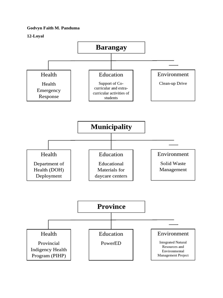 PPG LGU Projects Assignment | PDF