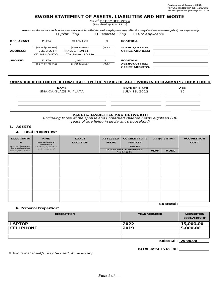 2015-SALN-Form-2- | PDF | Net Worth | Business