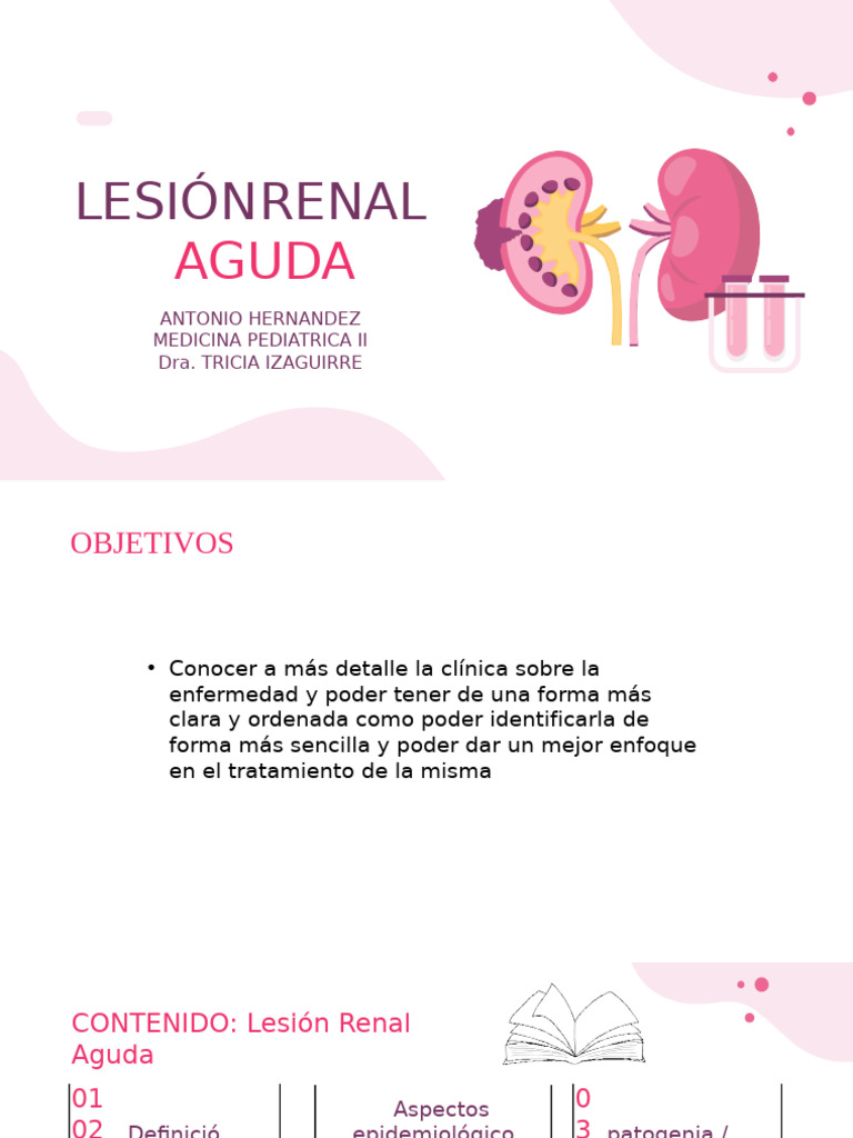 Lesion Renal Aguda Pedia 2 | PDF | Isquemia | Sistema urinario