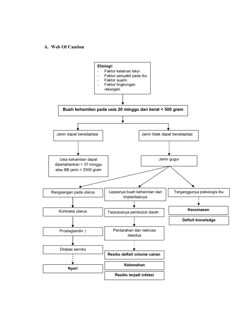 Web of Caution | PDF