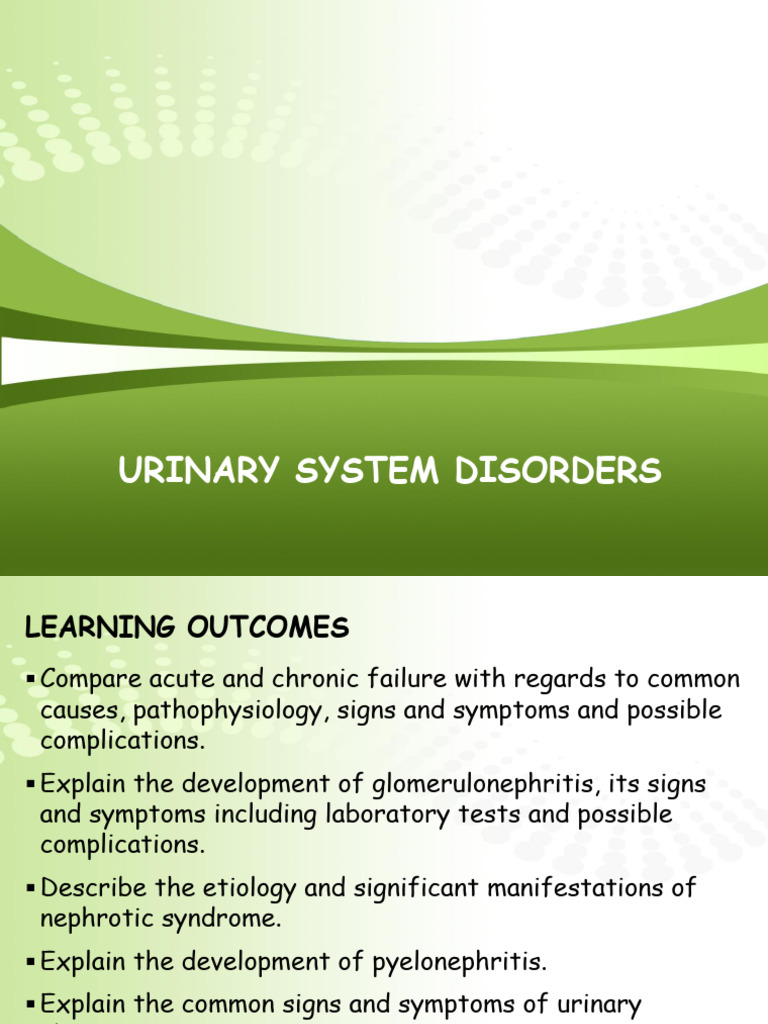 Urinary System Disorders | PDF | Kidney | Internal Medicine