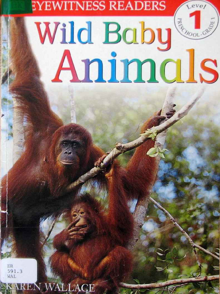 DK Eyewitness Readers L1 - Wild Baby Animal | PDF