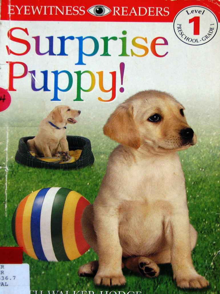DK Eyewitness Readers L1 - Supprise Puppy | PDF