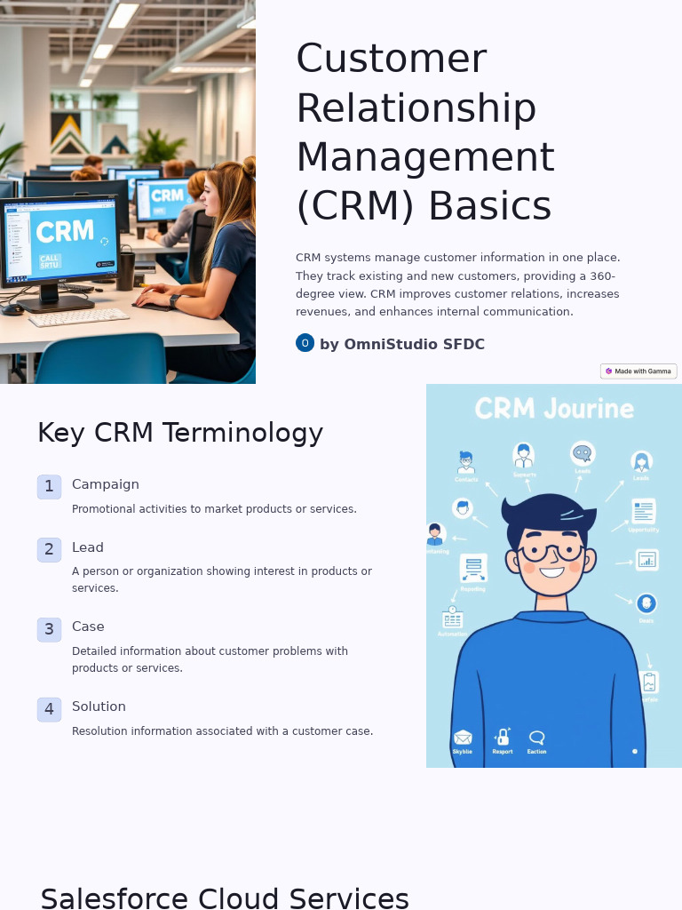Customer Relationship Management CRM Basics | PDF | Customer Relationship Management ...