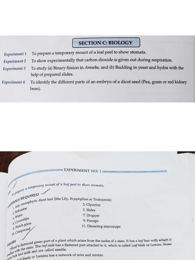 Biology Practicals Class-10 | PDF