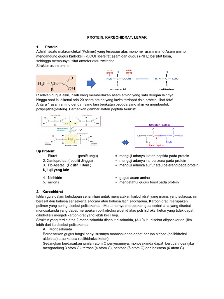 Makromolekul Organik | PDF