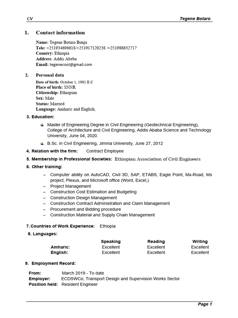 Cv 2 Pdf Specification Technical Standard Project Management
