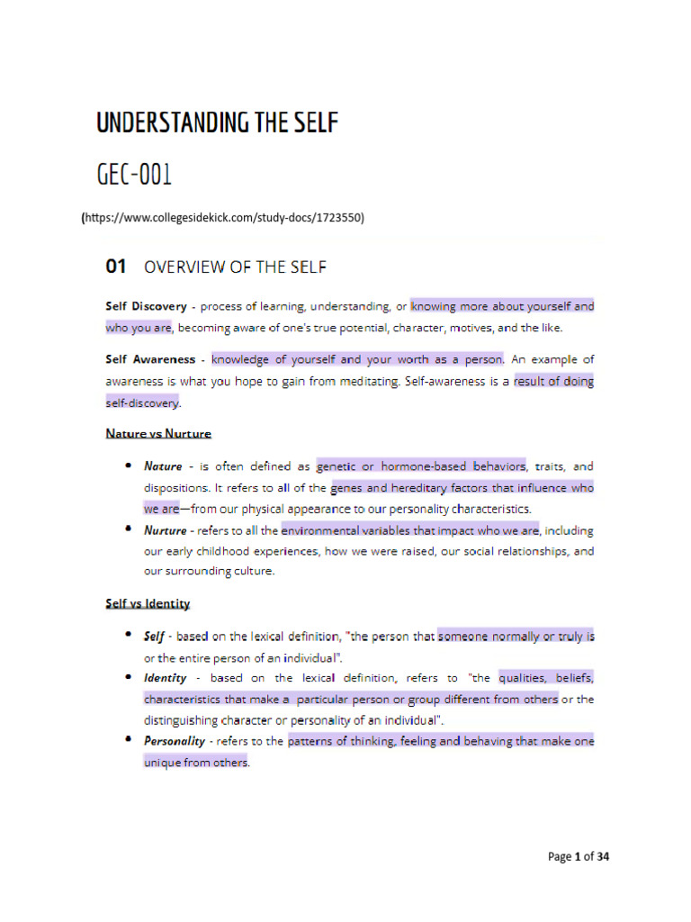 Understanding the Self Reference | PDF