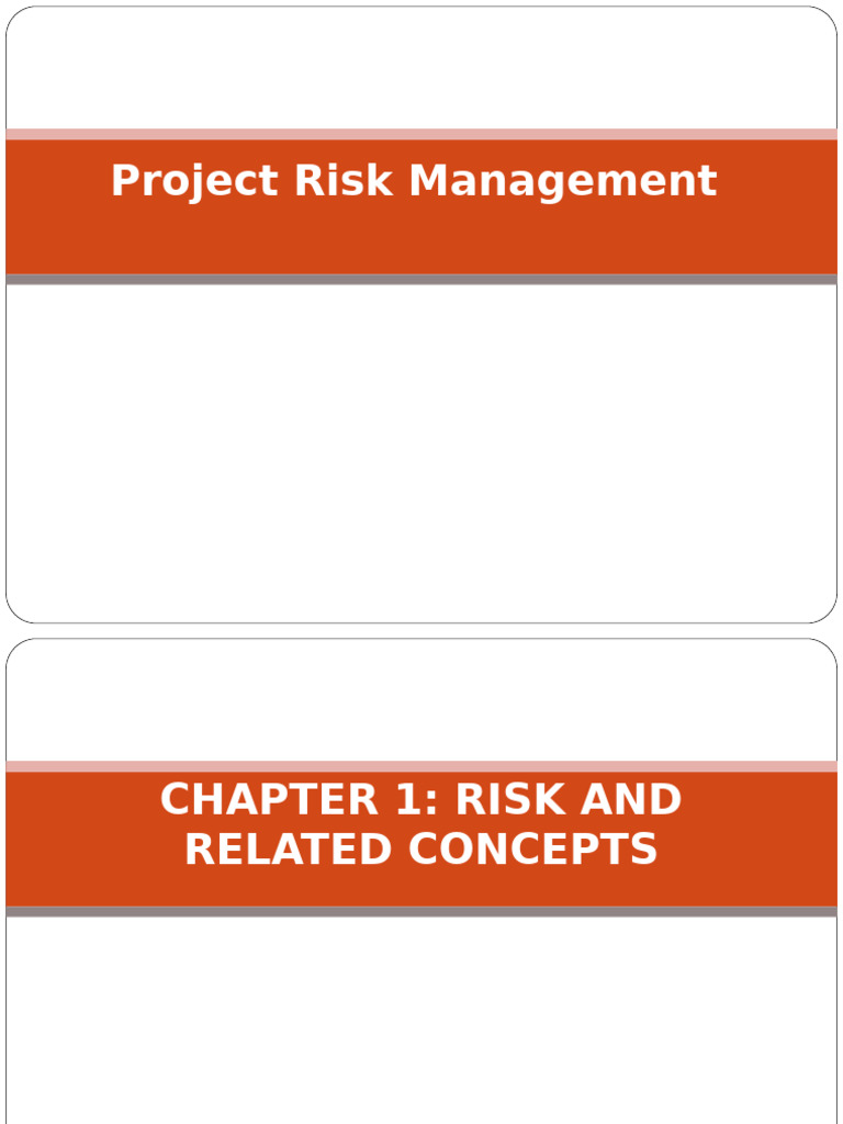 Understanding Project Risk Management | PDF | Risk | Uncertainty
