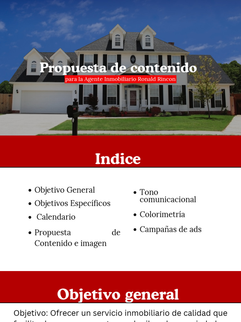 Propuesta de Contendio para Ronald Rincon | PDF | Publicidad digital ...