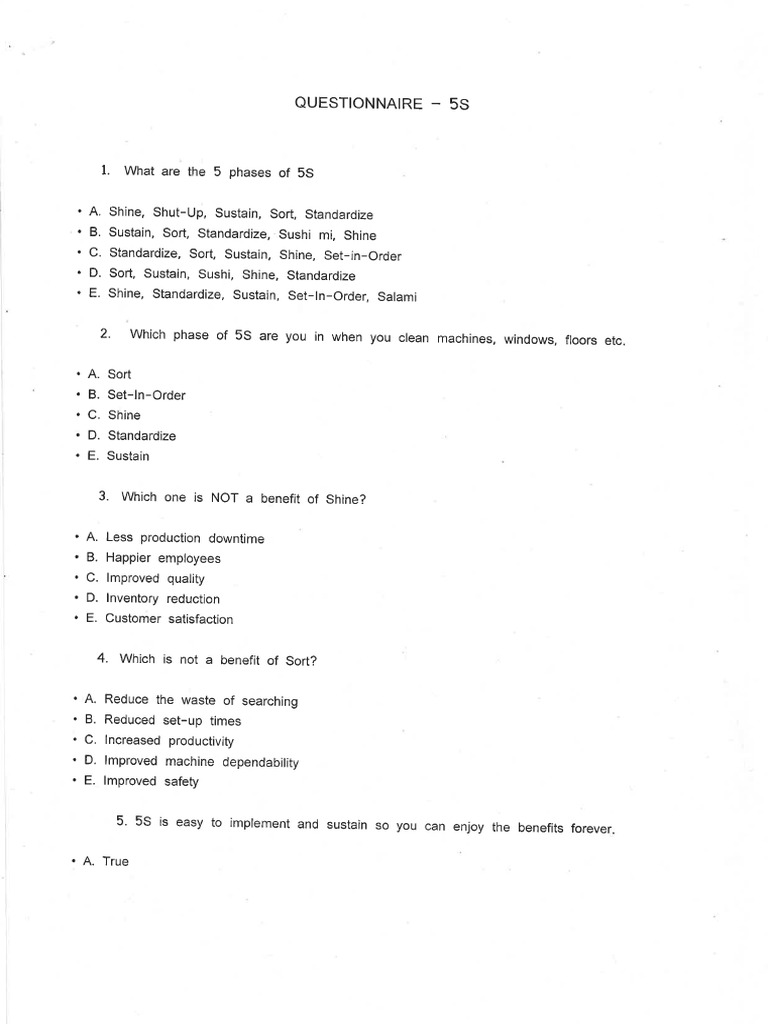 5S Questionnaire | PDF