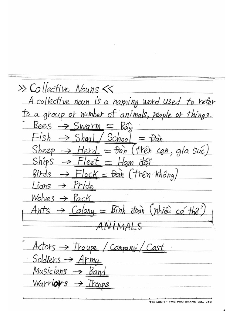 Collective Nouns | PDF