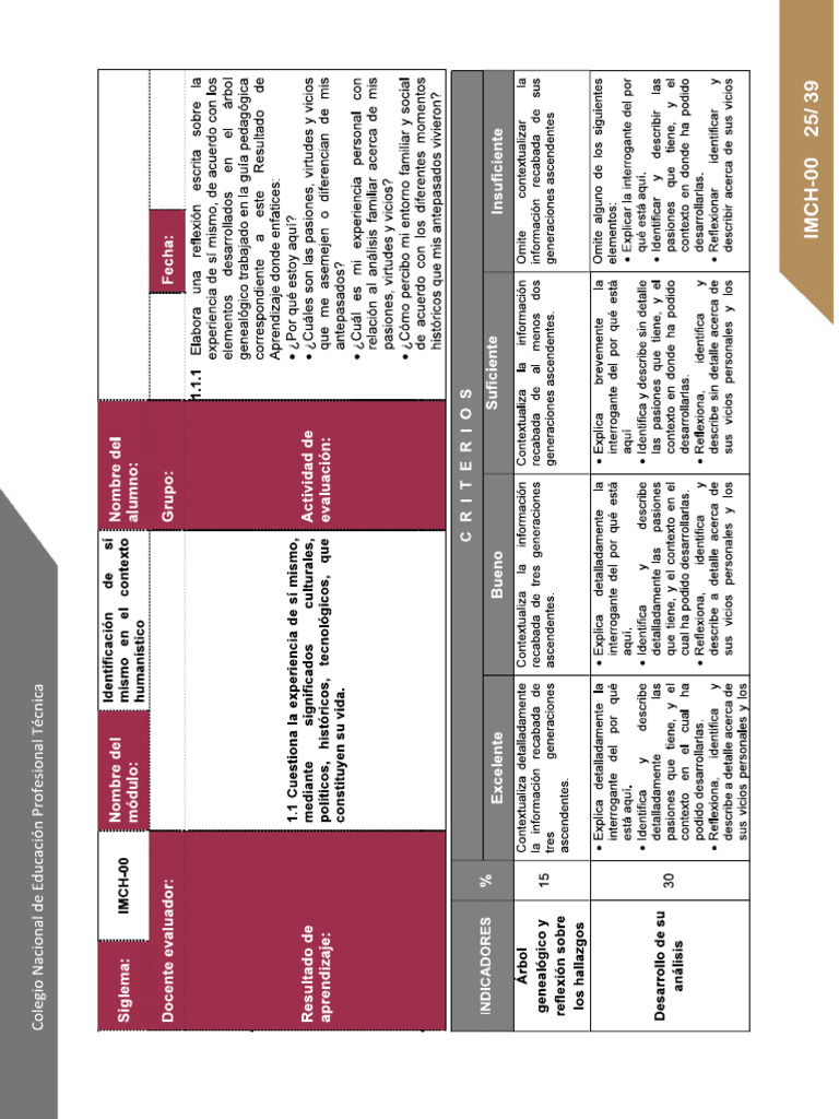 Rúbrica 1.1 IMCH | PDF