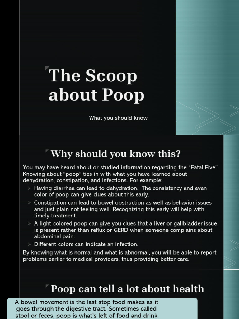 The Scoopabout Poop 050224 | PDF | Human Feces | Diarrhea
