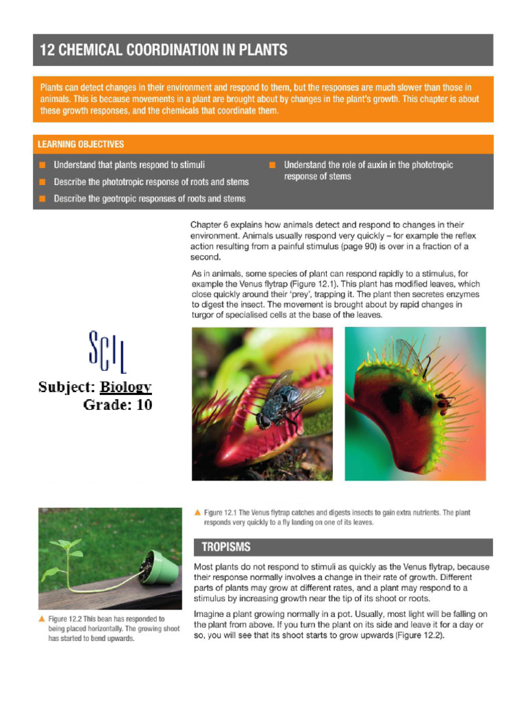 Coordination and Response in Plants Notes | PDF