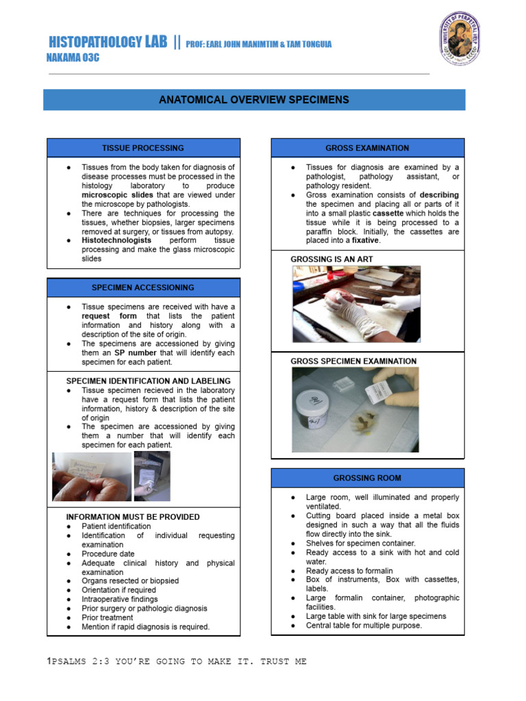 ANATOMICAL-OVERVIEW-SPECIMENS.docx | PDF | Pathology | Histopathology