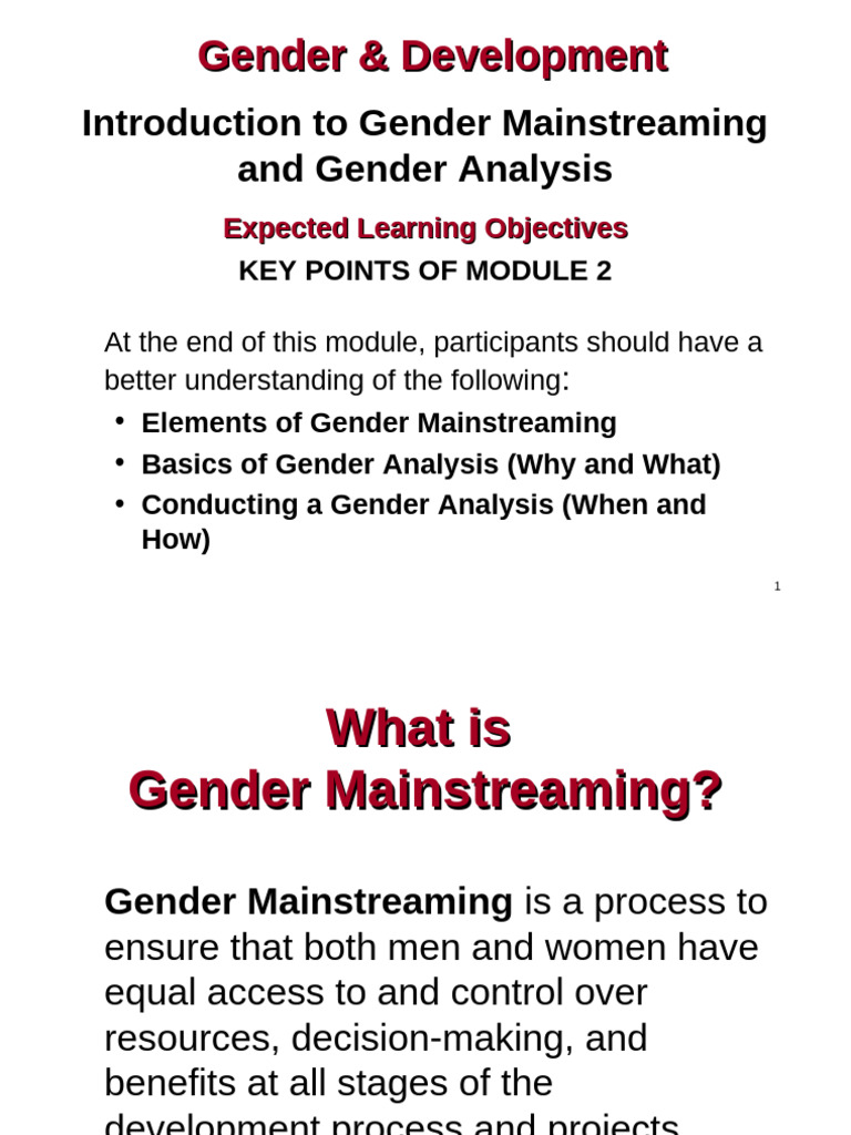 4a - Gender Mainstreaming and Analysis Tools | PDF | Gender | Gender ...