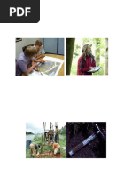 DCP Test Procedure | PDF | Road Surface